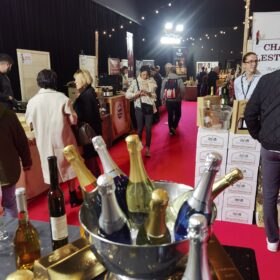 Oreilles, rhinopharynx, larynx - Le Var et Vous